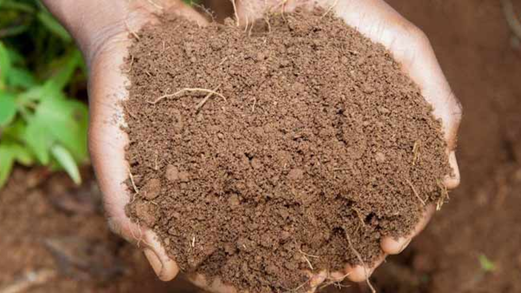 DeirEzzor24 reveals the source of the fertilizer distributed from the ...